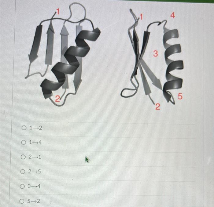 Solved Shown below are two cartoon views of the small | Chegg.com