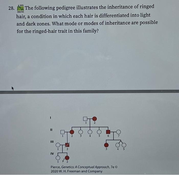 28. Na The following pedigree illustrates the | Chegg.com