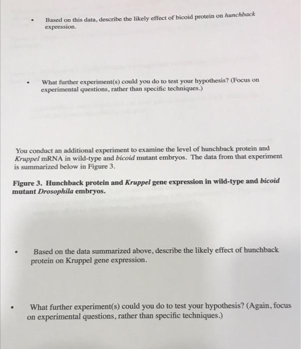 Solved Go to the Drosophila genetics database flybase.org | Chegg.com