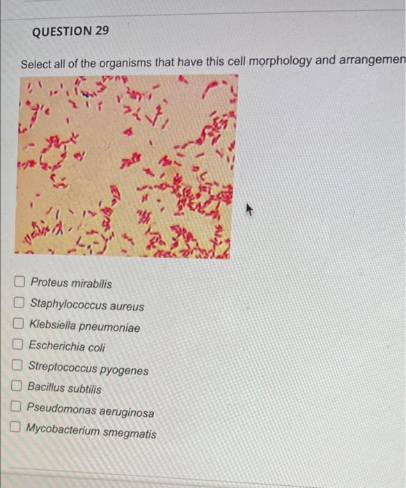 Solved Select all of the organisms that have this cell | Chegg.com