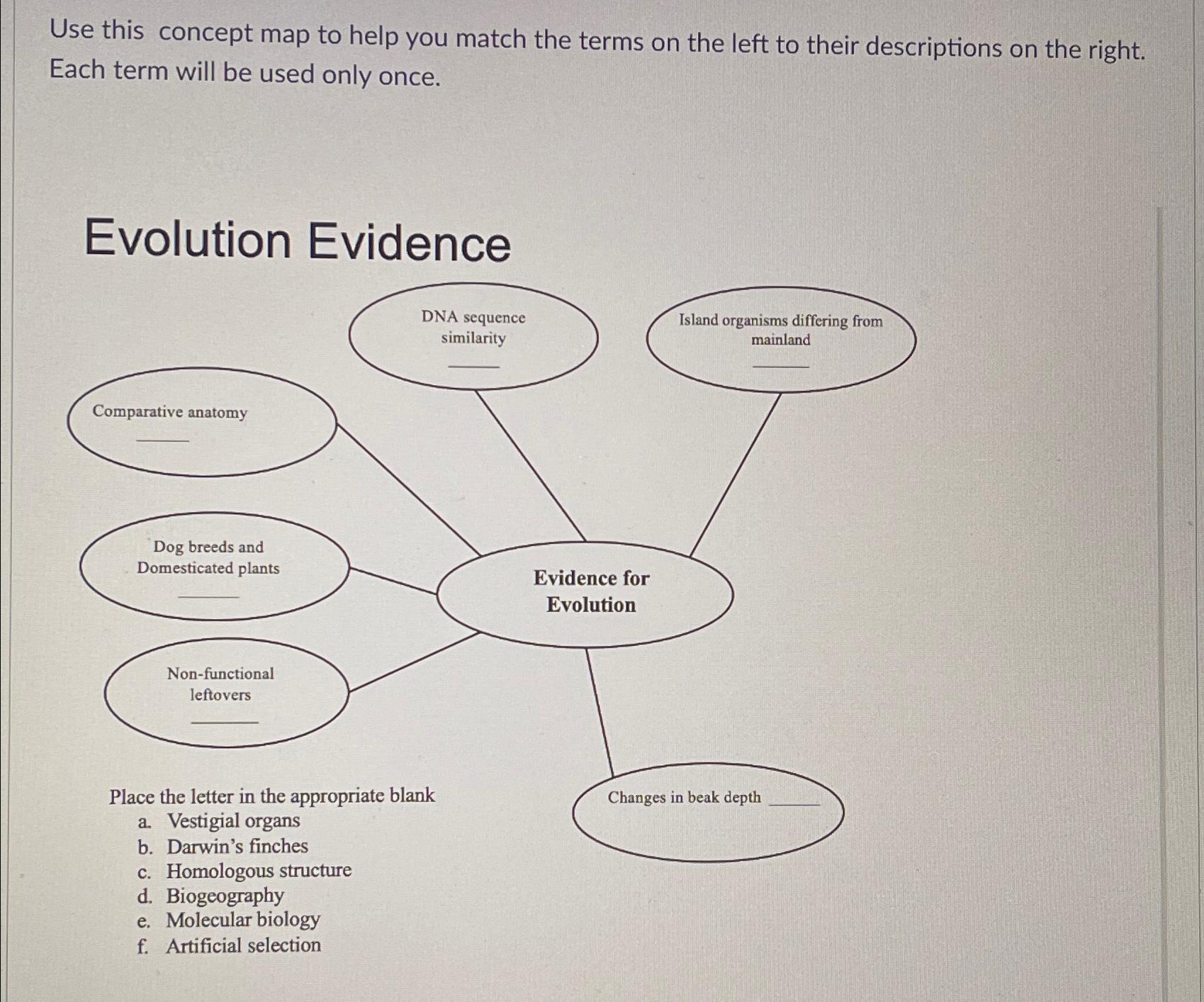 Solved Use this concept map to help you match the terms on | Chegg.com
