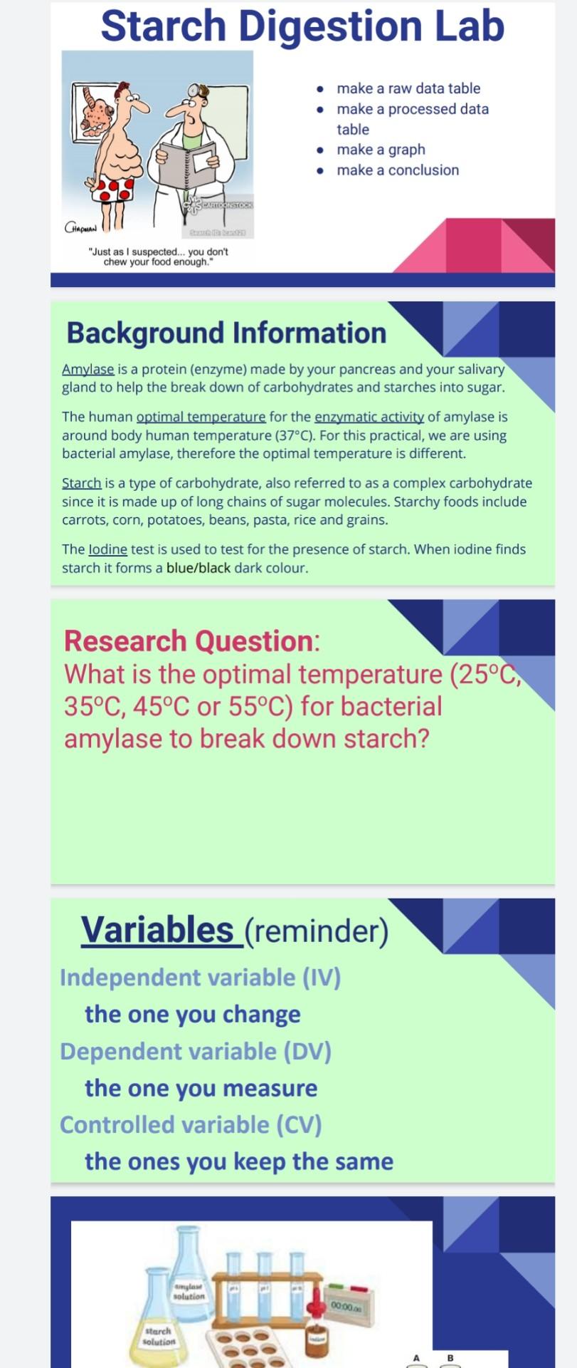 Solved Starch Digestion Lab • make a raw data table • make a | Chegg.com