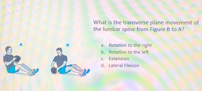 Solved What is the transverse plane movement of the lumbar | Chegg.com