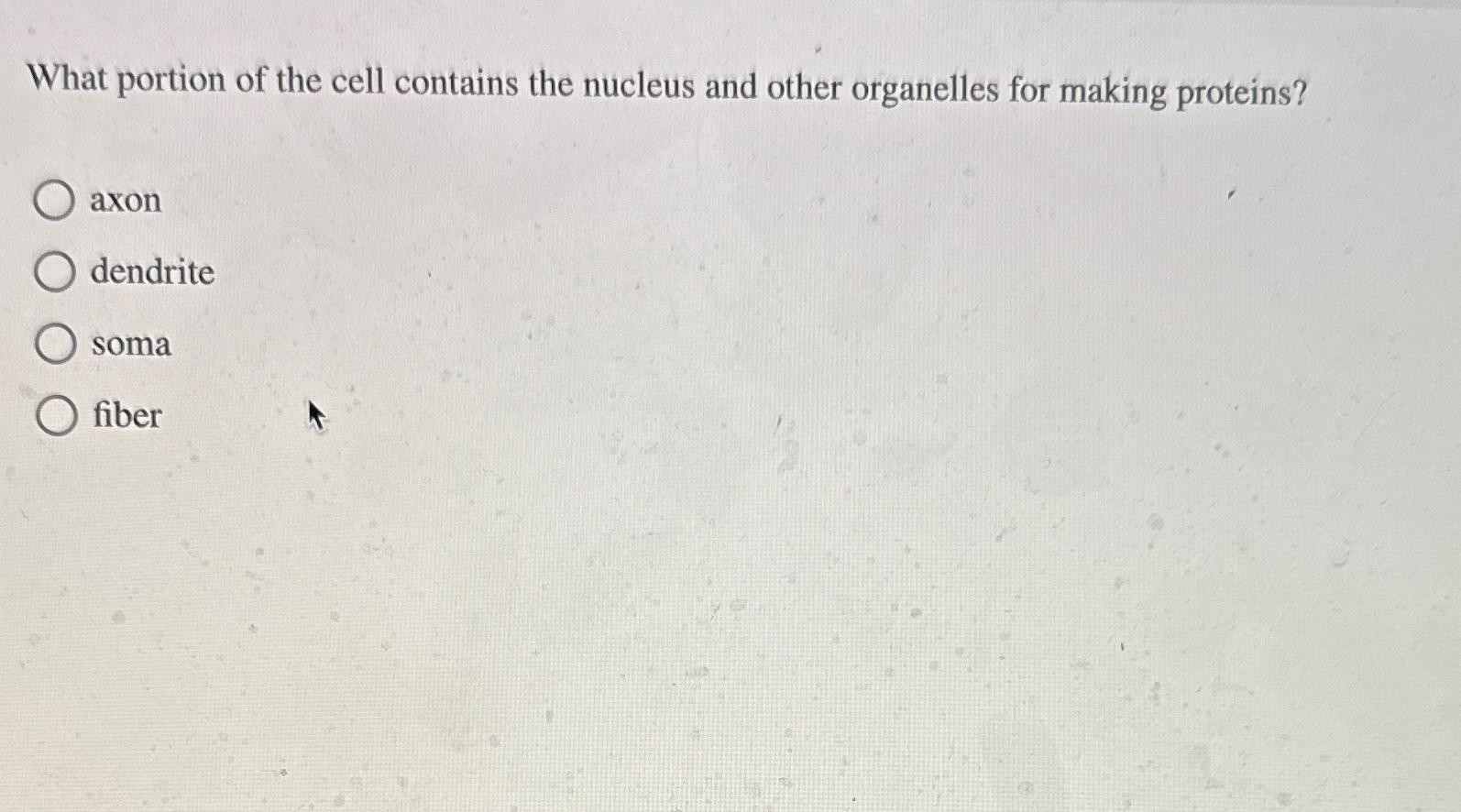 Solved What portion of the cell contains the nucleus and | Chegg.com