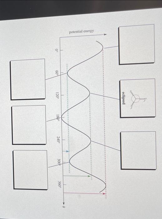 Solved Fill in the empty boxes with the correct Newman | Chegg.com