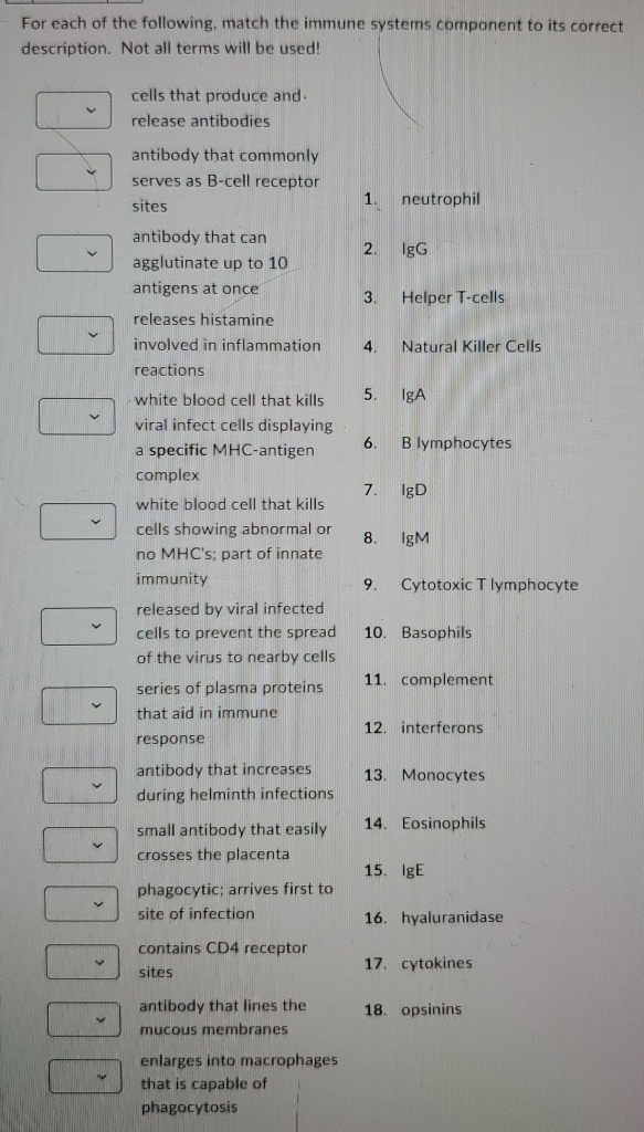 Solved For each of the following, match the immune systems | Chegg.com