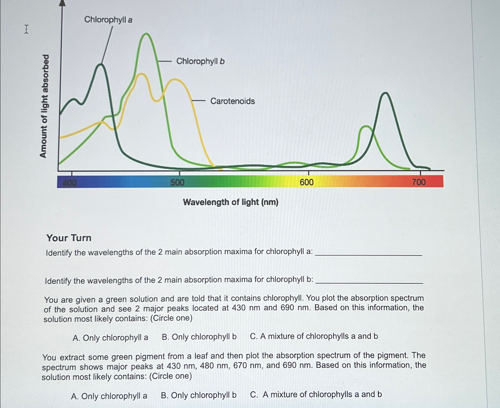 Solved Wavelength of light (nm)Your TurnIdentify the | Chegg.com