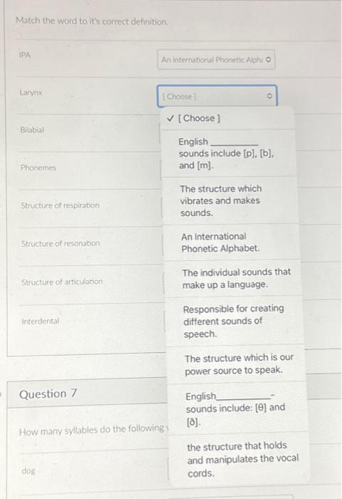 Match the word to it's correct definition. IPA Larynx | Chegg.com