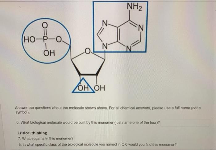 Solved NH2 N 'N O II (HO-P-0. N OH OH OH Answer the | Chegg.com