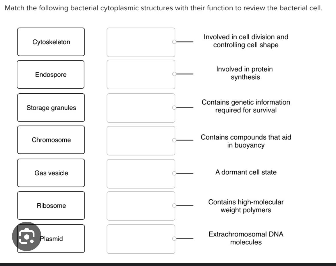 Solved Match the following bacterial cytoplasmic structures | Chegg.com