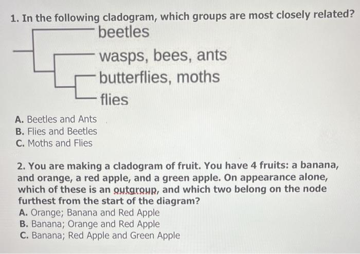 Solved To construct this cladogram, first complete this | Chegg.com