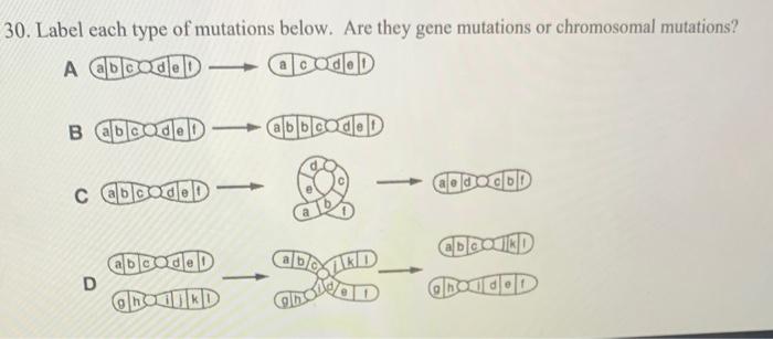 Solved 30. Label each type of mutations below. Are they gene | Chegg.com