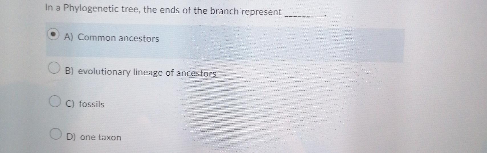 Solved In a Phylogenetic tree, the ends of the branch | Chegg.com