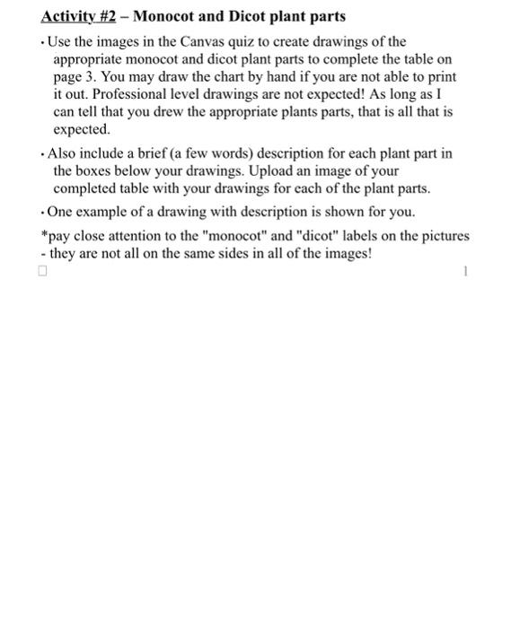 Solved Activity \#2 - Monocot and Dicot plant parts - Use | Chegg.com