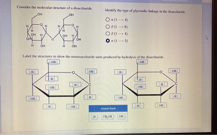 Solved Consider the molecular structure of a disaccharide. | Chegg.com
