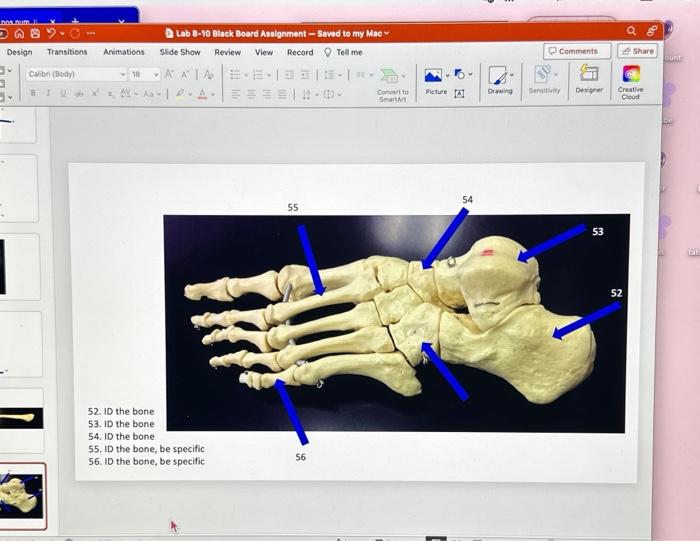 Solved identify all the parts with an arrow. | Chegg.com