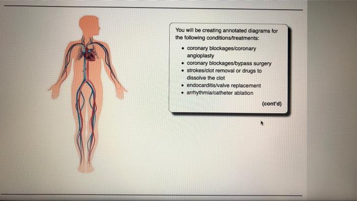 Solved You will be creating annotated diagrams for the | Chegg.com