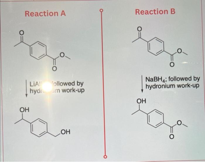 Solved What Transformation/change is happening in both | Chegg.com