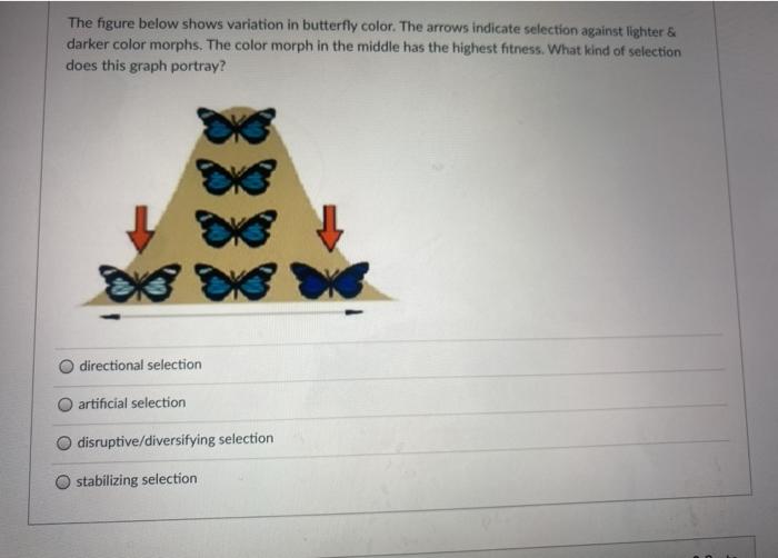 Solved The figure below shows variation in butterfly color. | Chegg.com