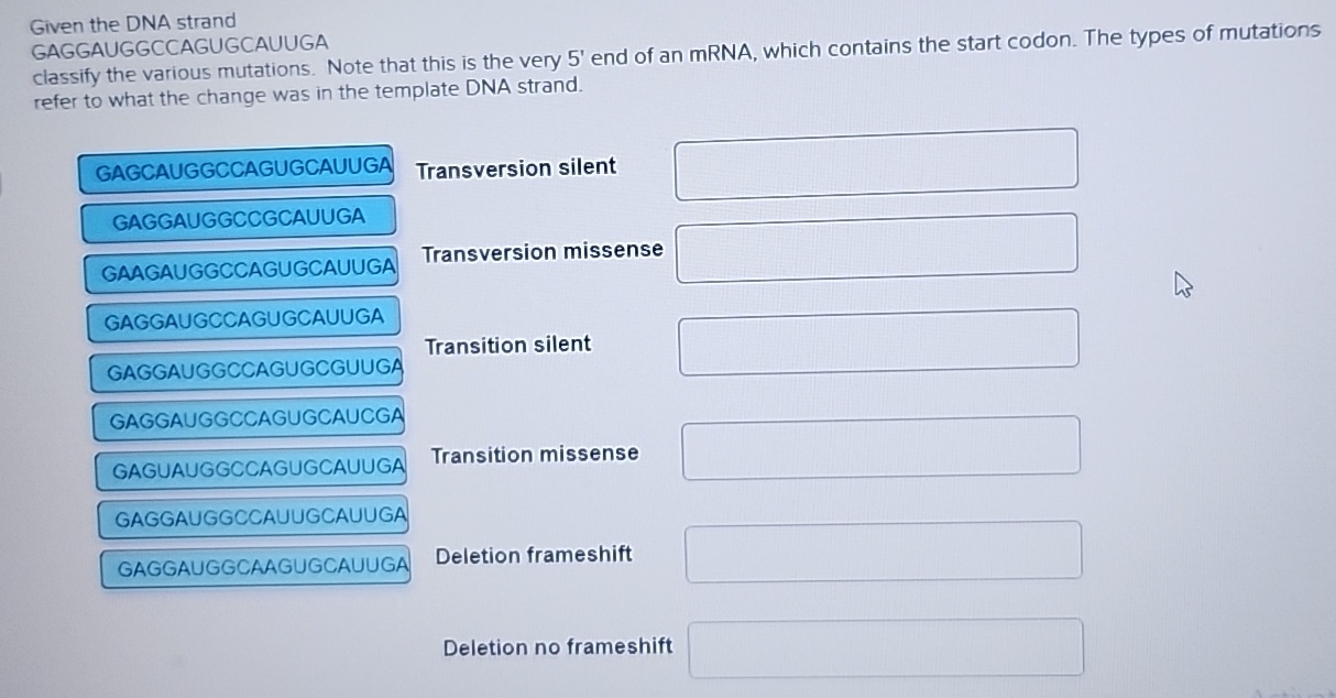 Solved Given the DNA strandGAGGAUGGCCAGUGCAUUGAclassify the | Chegg.com