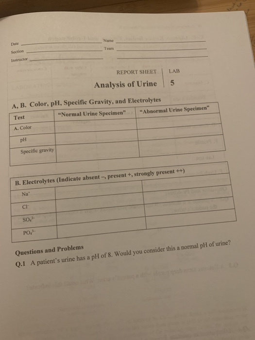 Solved Name Date Team Section Instructor REPORT SHEET LAB 5 | Chegg.com