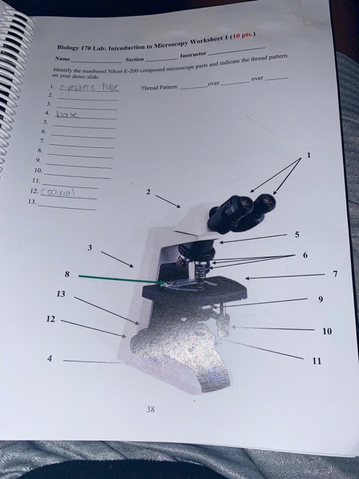 Solved Biology 170 Lab: Introduction to Microscopy Worksheet | Chegg.com