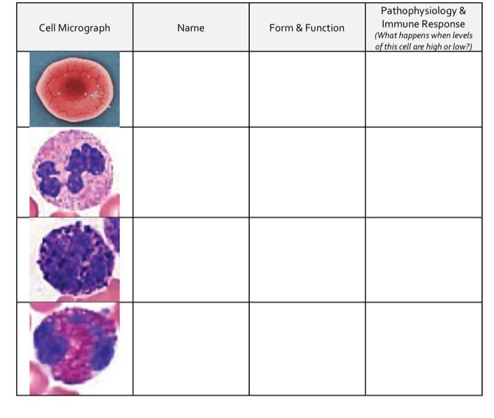 Solved \begin{tabular}{|c|l|l|l|} \hline Cell Micrograph & | Chegg.com