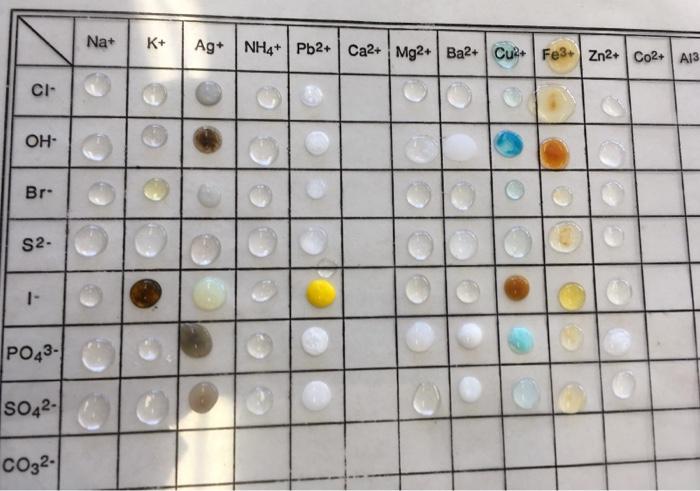 Lab - Double Displacement Reactions & Solubility | Chegg.com