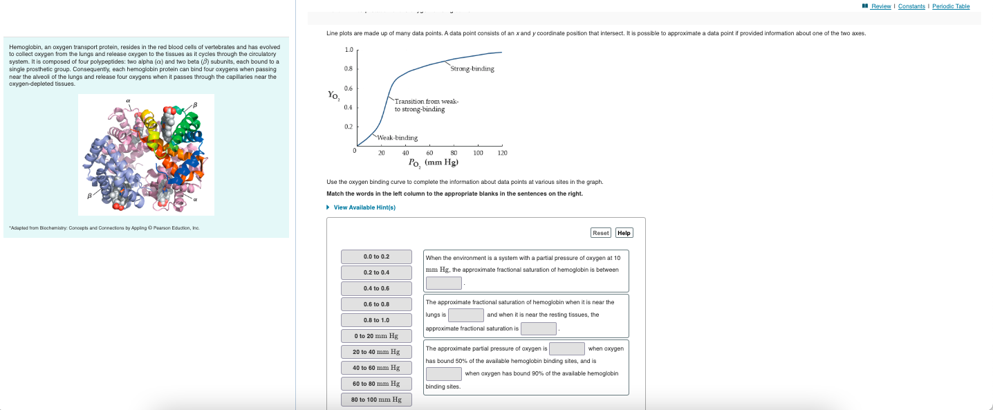 Solved Hemoglobin, an oxygen transport protein, resides in | Chegg.com