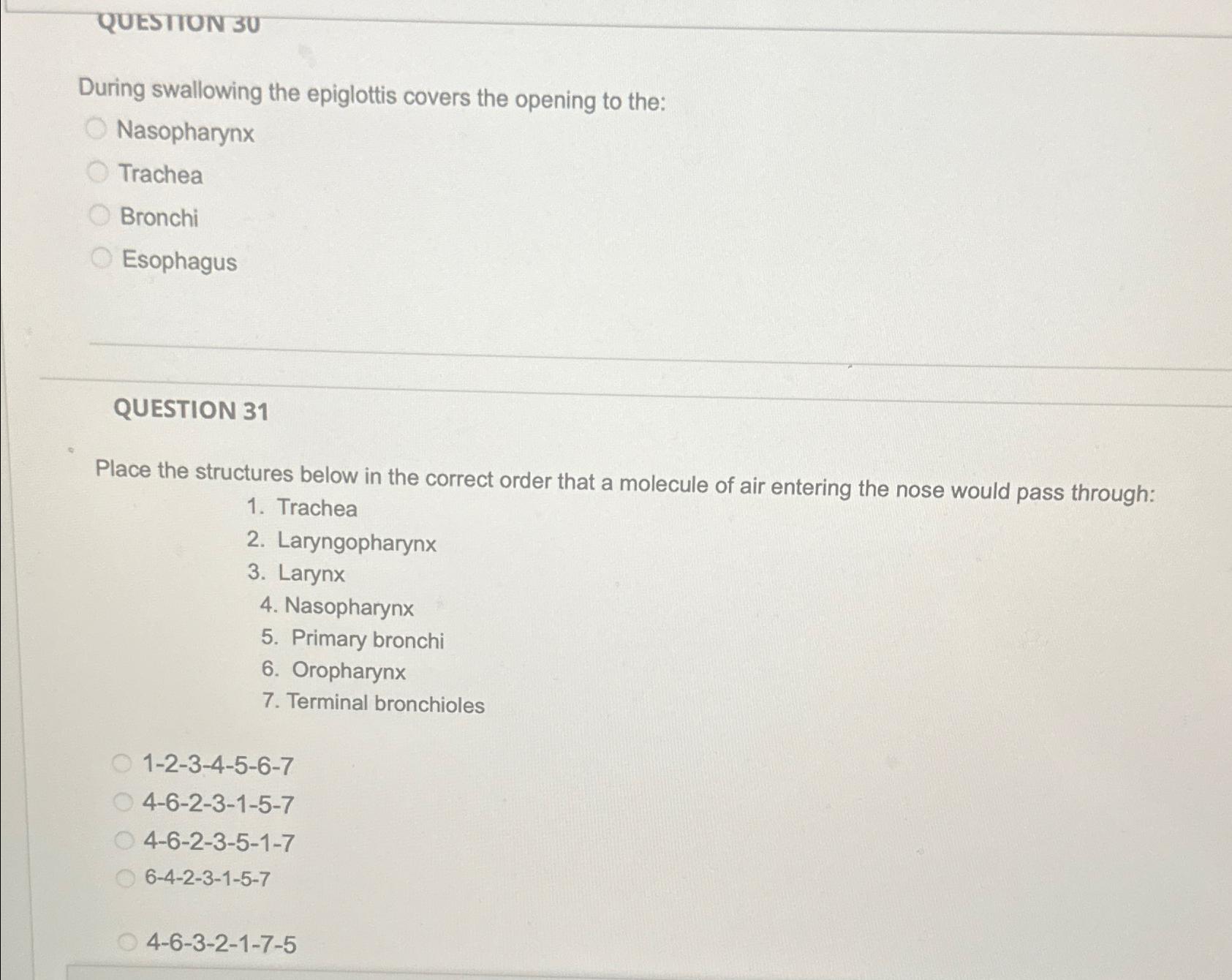 Solved QUESIION 30During swallowing the epiglottis covers | Chegg.com
