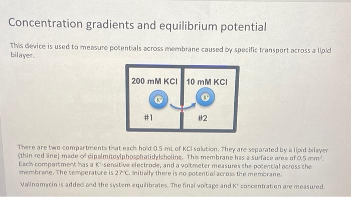Solved Concentration gradients and equilibrium potential | Chegg.com