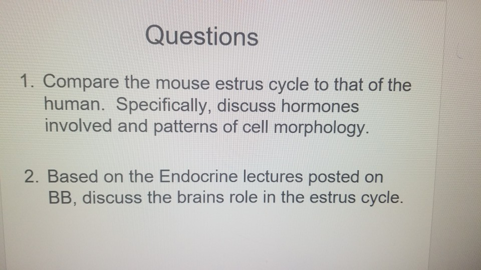 Solved Questions 1. Compare the mouse estrus cycle to that | Chegg.com