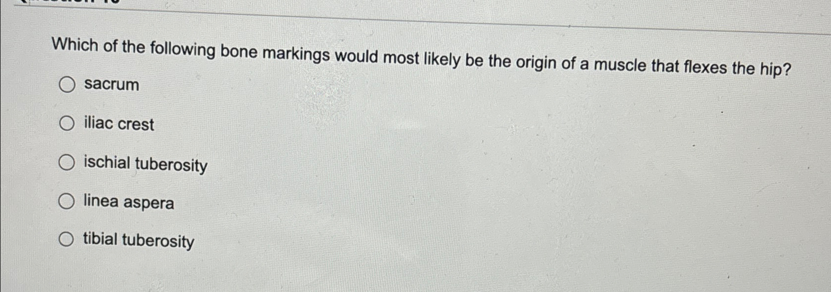 Solved Which of the following bone markings would most | Chegg.com