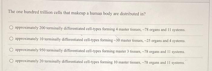 Makeup Of The Human Body | Saubhaya Makeup