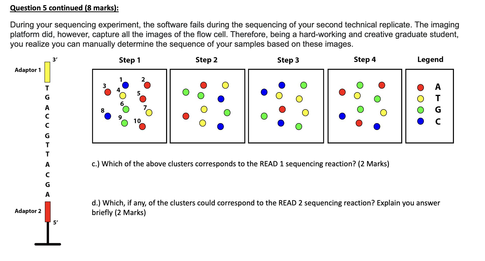 Solved Question 5 ﻿continued (8 ﻿marks):During your | Chegg.com