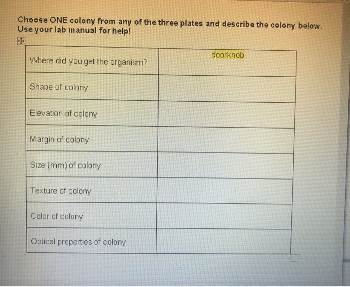 Choose ONE colony from any of the three plates and | Chegg.com