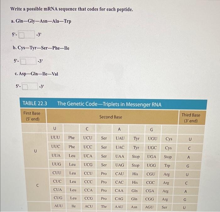 Solved Write a possible mRNA sequence that codes for each | Chegg.com
