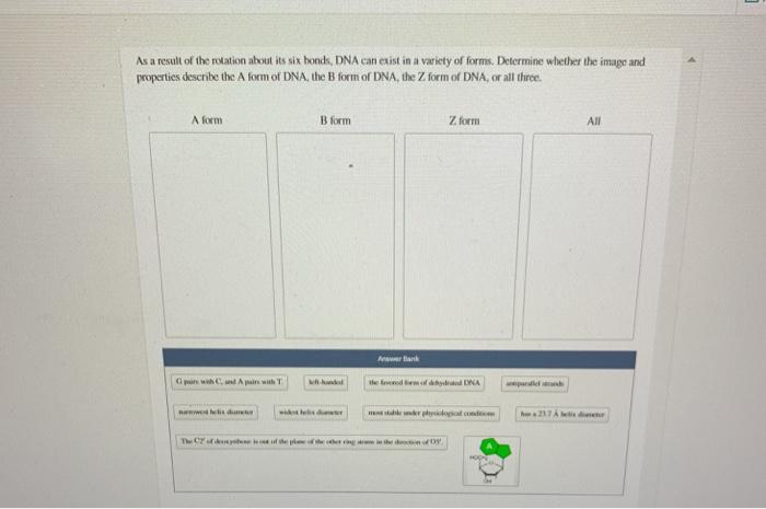 As a result of the rotation about its six bonds, DNA | Chegg.com