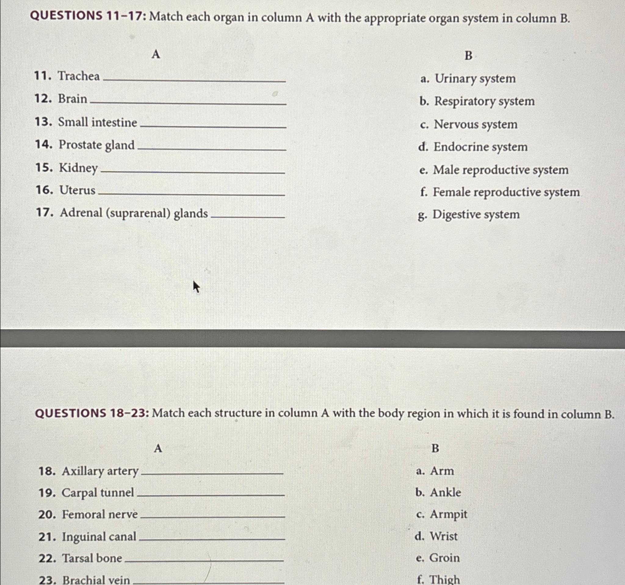 Solved QUESTIONS 11-17: Match each organ in column A with | Chegg.com