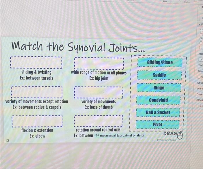 Solved Match the Synovial Joints. | Chegg.com