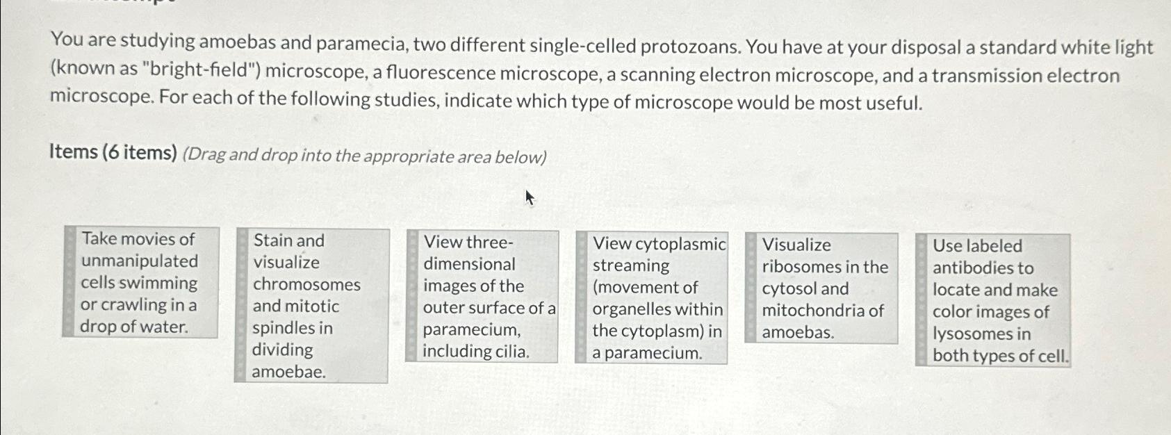 Solved You are studying amoebas and paramecia, two different | Chegg.com