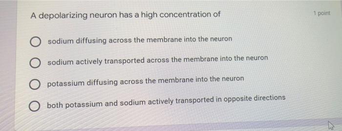 Solved A depolarizing neuron has a high concentration of 1 | Chegg.com