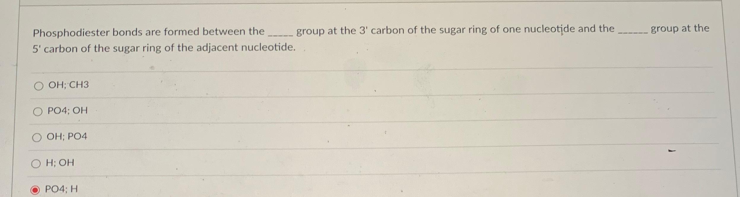 Solved Phosphodiester bonds are formed between the group at | Chegg.com