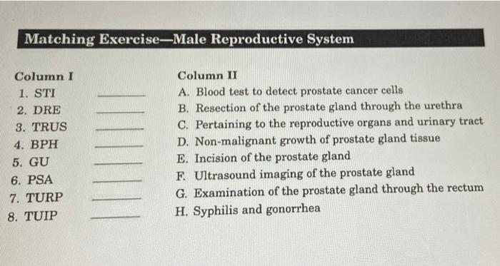Solved Matching Exercise-Male Reproductive System Column I | Chegg.com
