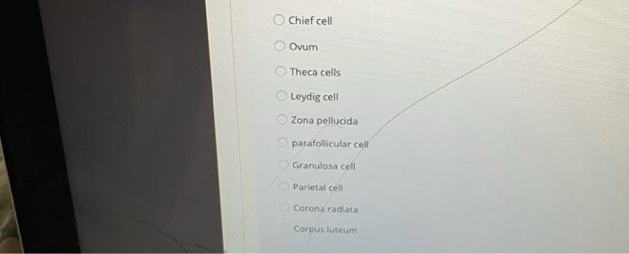 Solved Identify the structure at the end of the pointer | Chegg.com