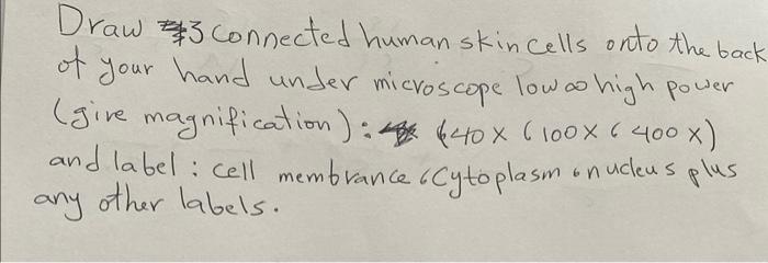 Draw 3 connected human skin cells onto the back of | Chegg.com