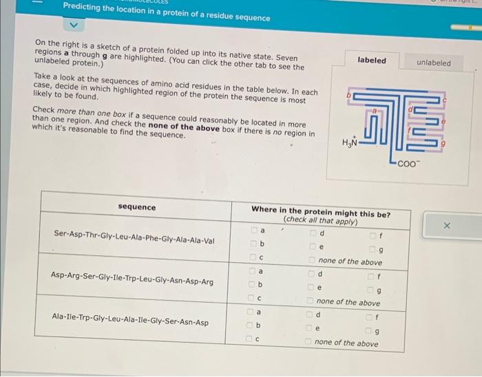 Solved On the right is a sketch of a protein folded up into | Chegg.com