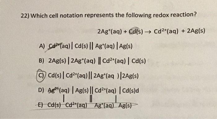 Solved 22) Which cell notation represents the following | Chegg.com