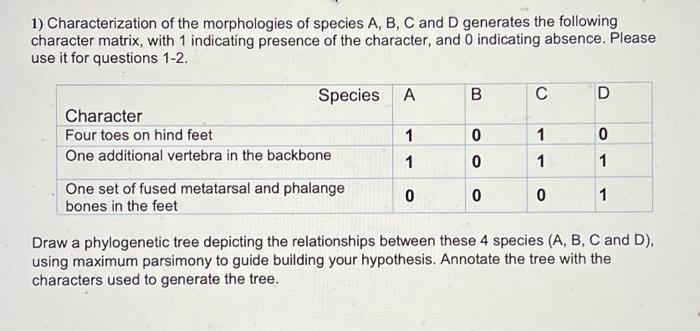 Solved 1) Characterization of the morphologies of species | Chegg.com
