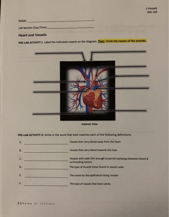 Solved 3-Vessels BIO 169 NAME: Lab Section (Day/Time) Heart | Chegg.com